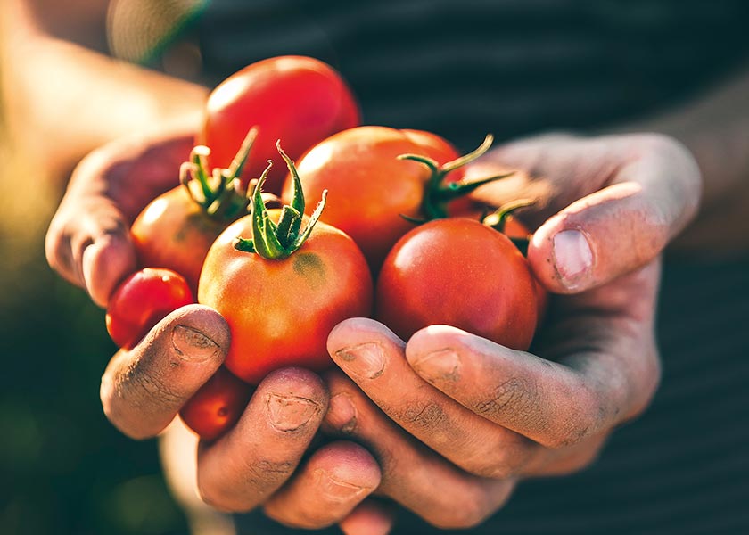 valyu | We design value for humans